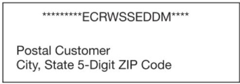 Everything You Need to Know About EDDM Sizes