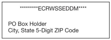 Everything You Need to Know About EDDM Sizes